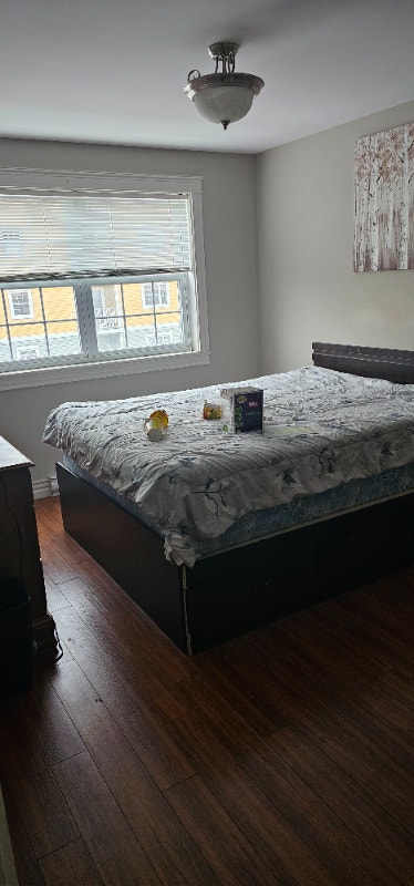 Looking for roomates/a room to rent in the Dieppe area. | Long Term ...
