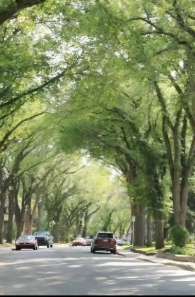 Loft Style Bachler Pad in Small Warehouse | Long Term Rentals | Regina ...