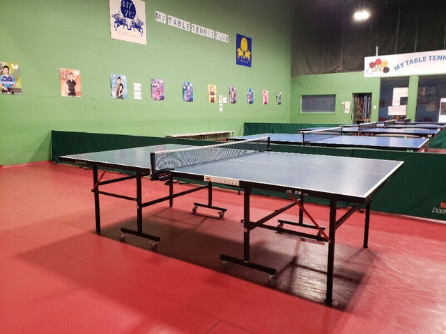 NEW Double Fish 201 Ping Pong Table 15mm Top in Greater Toronto | Other ...