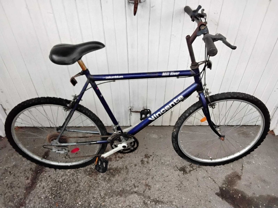 Vincente Mill River Bike (Sheer Awesomeness) | Mountain | City of Toronto | Free local ...