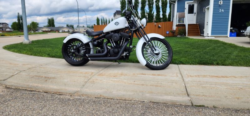 2000 custom sporty | Street, Cruisers & Choppers | Edmonton | Kijiji