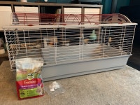 Hagen Living World Deluxe Habitat, Large Petco