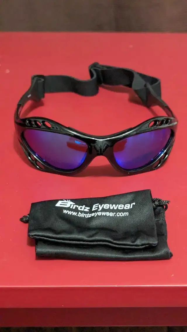 Birdz Sunglasses/Brand New | Clothing, Shoes & Accessories | City of ...