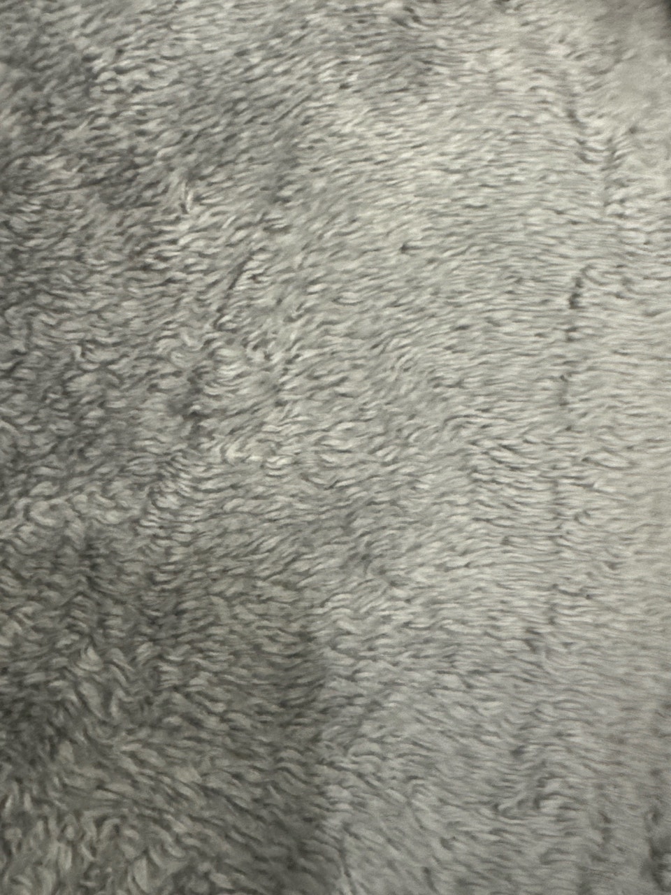 1 room for rent in 2 bedroom walkout basement from December 1 | Room ...