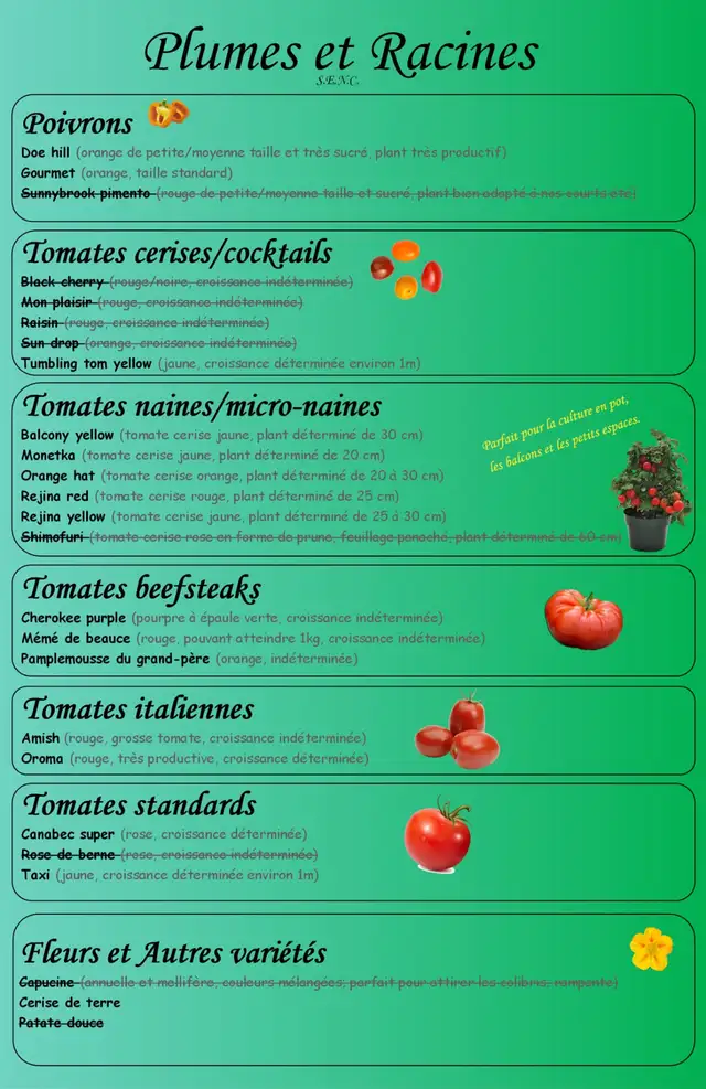 semis / plants de légume: tomate, poivron, piment, concombre etc ...