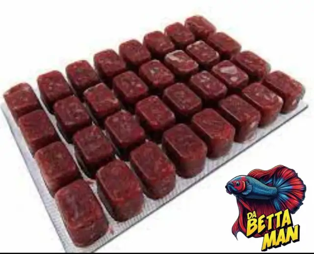 Blood worms. San Francisco Bay | Fish for Rehoming | Windsor Region ...