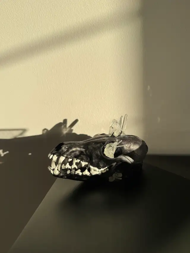 Fox Skull Creepy Art | Arts & Collectibles | Winnipeg | Free local ...