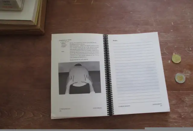 A Workbook of Manual Therapy Techniques for the Vertebral column ...