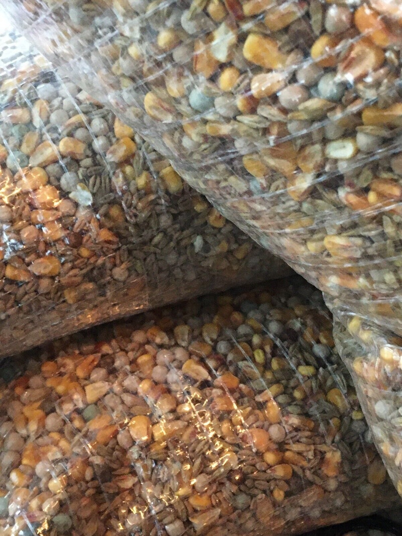 PIGEON FEED CHICKEN LAYER MASH - Pickering | Livestock | City of ...