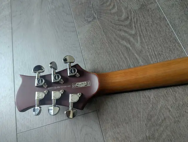 Beautiful Legator dch300 pro guitar with lots of features | Guitars ...