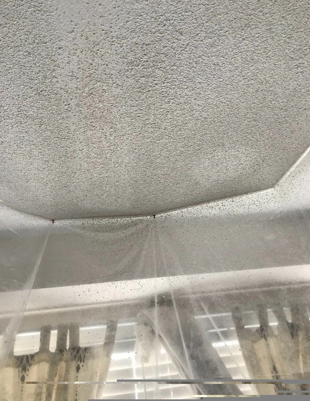 Drywall Repairs~ Damage Hole, Water Leak, Smooth, Mold Removal ...