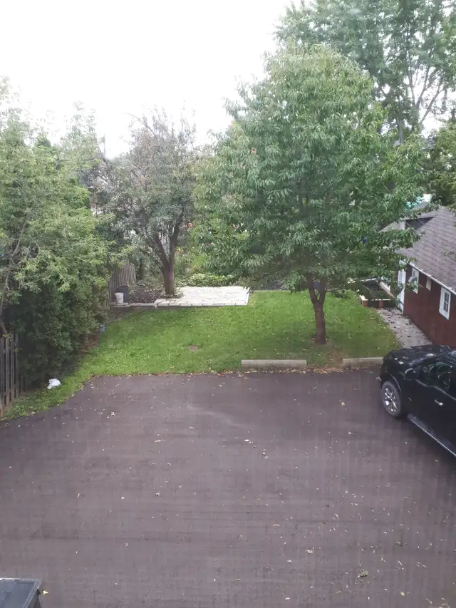 SUPER CUTE 2 Bdrm unit on the 2nd Floor! Spacious & Bright1 | Long Term ...