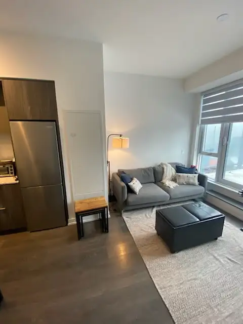 Downtown Condo with HUGE 300+ SQ FT Private Terrace | Long Term Rentals ...
