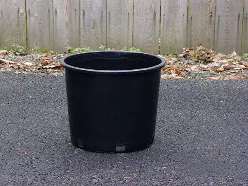 In search of plant pots | Plants, Fertilizer & Soil | Oshawa / Durham ...