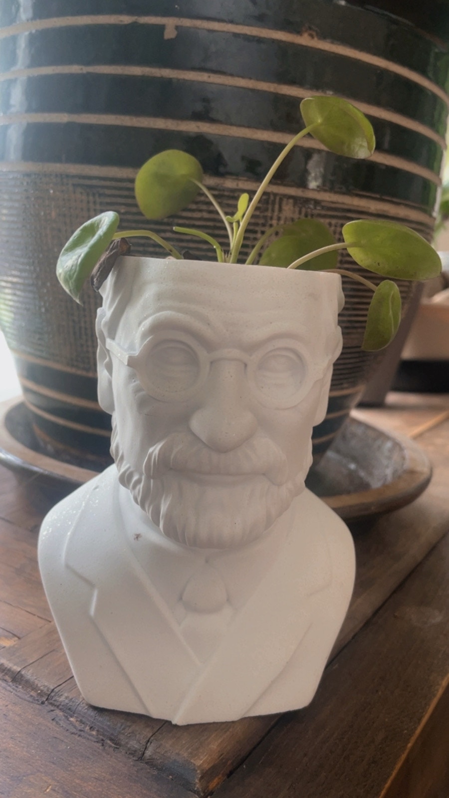 Small Sigmund Freud Planter | Plants, Fertilizer & Soil | Winnipeg ...