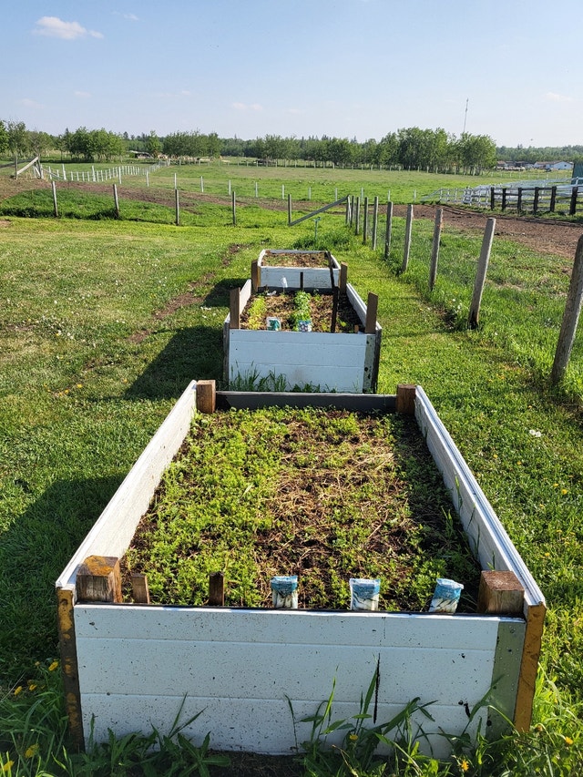 Organic Compost well aged manure soil | Plants, Fertilizer & Soil ...