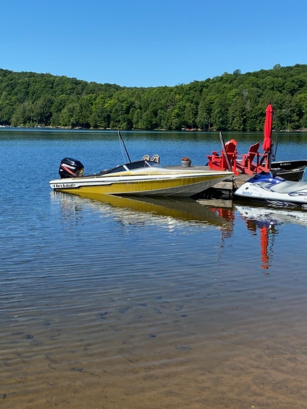 SALE SALE SALE! 1989 Checkmate 19' | Powerboats & Motorboats | Markham ...