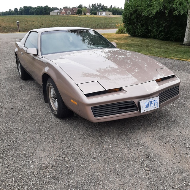 Classic Car. 1983 Pontiac Firebird | Classic Cars | Norfolk County | Kijiji