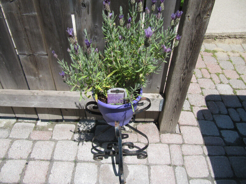 Vintage Wrought Iron Hand Made Plant Holder Circa 1960-70s | Arts ...