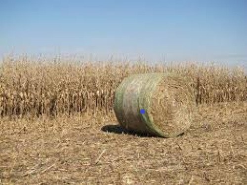 Round Hay Bales for Sale | Livestock | Strathcona County | Free local ...