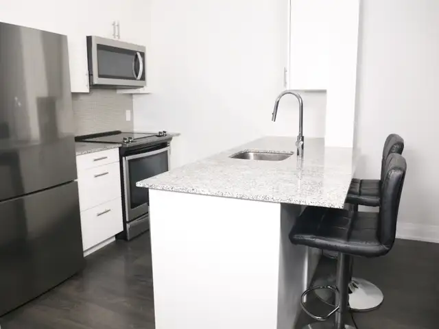 1 Bedroom Apartment Fully Furnished Turnkey UofT UTSC OCMT | Long Term ...