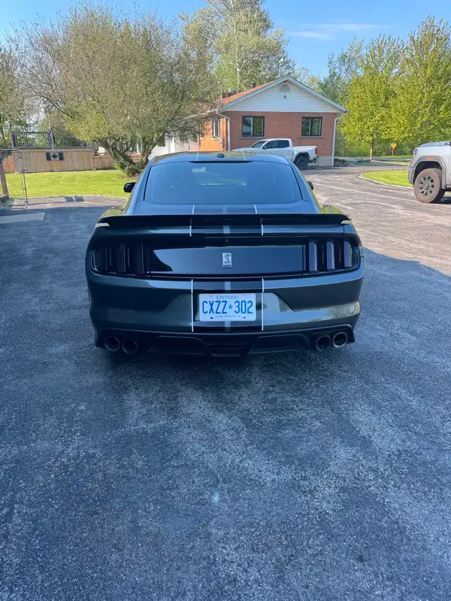 2017 Shelby Mustang GT350 | Cars & Trucks | St. Catharines | Free local ...