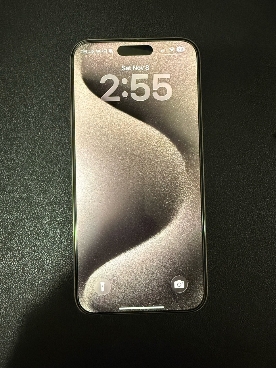 iPhone 15 Pro Max - 256 GB, AppleCare until Dec 2025 | Cell Phones ...