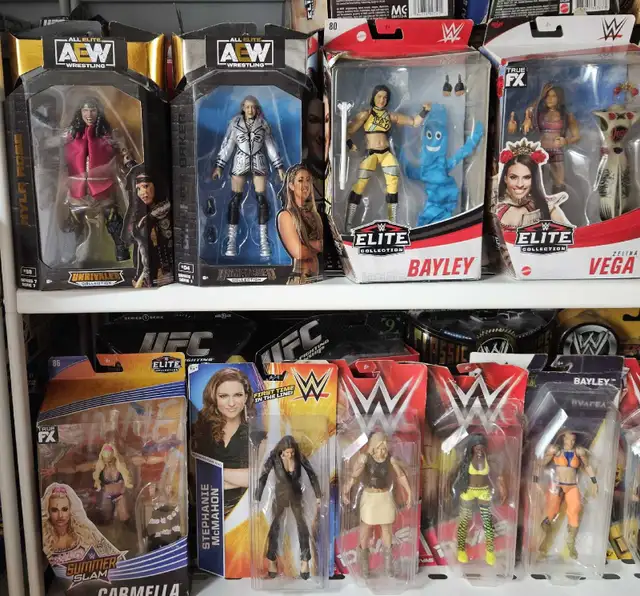 WWE WWF WCW TNA ECW NXT DIVA/WOMEN WRESTLING FIGURES in boxes | Arts ...