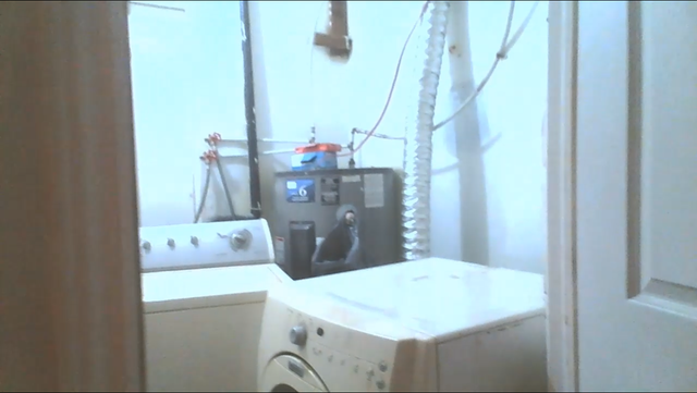 Quiet Furnished Room - All-Inclusive - $580 (VF PLus Bas) | Room ...