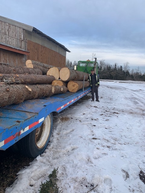 good logs for sale | Other Business & Industrial | Truro | Kijiji