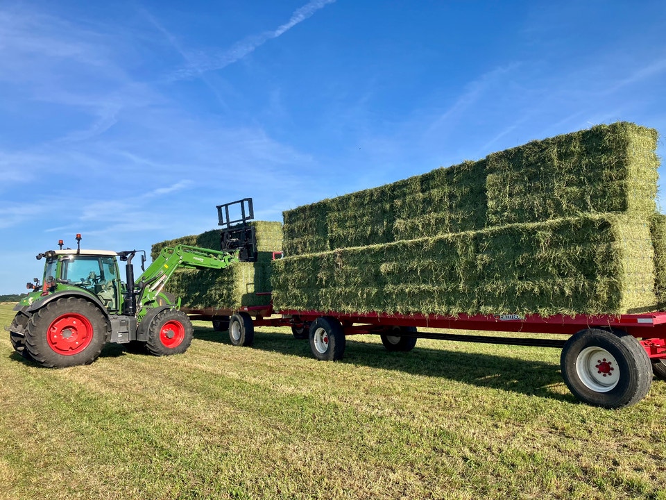 Hay - Small Squares Alfalfa mix | Livestock | Sarnia | Free local ...
