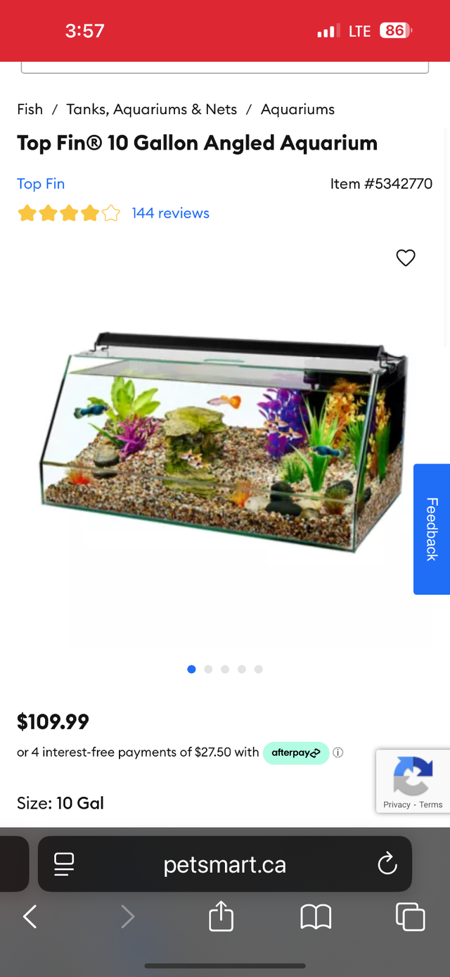 Super chill crested gecko with tank and supplies | Reptiles ...