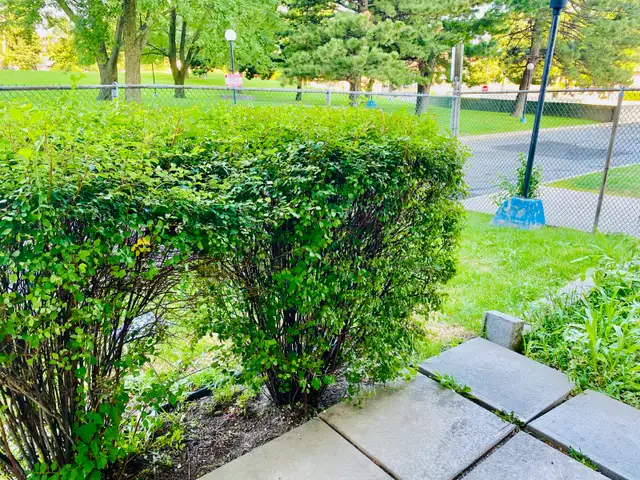 TORONTO 4 RENT GROUND-LEVEL LARGE CORNER SUITE | 401 & KIPLING! | Long ...