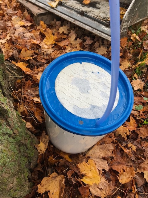 Maple syrup equipment, pails, buckets, taps, spile, plastic line ...