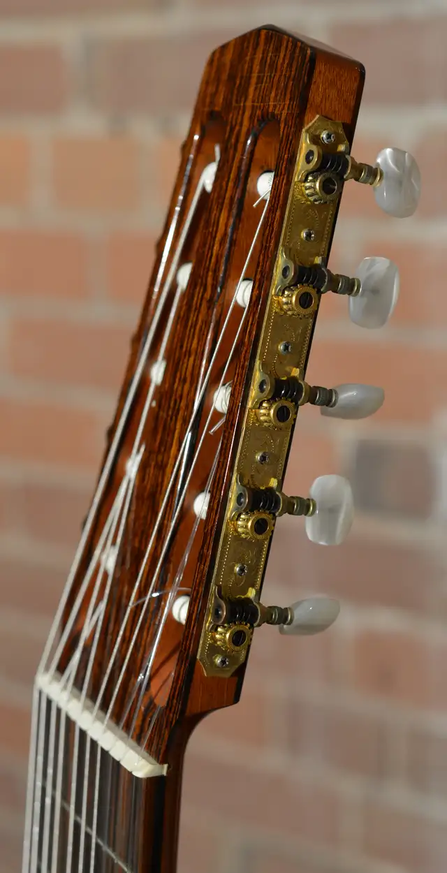 Sergei de Jonge 10 String Classical Guitar | Guitars | Barrie | Free ...