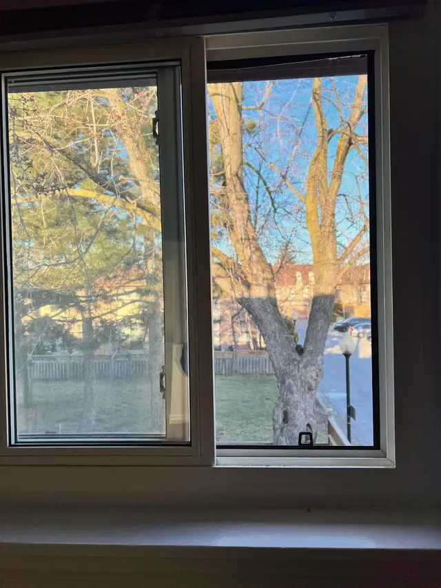 private room for rent | Long Term Rentals | Mississauga / Peel Region ...