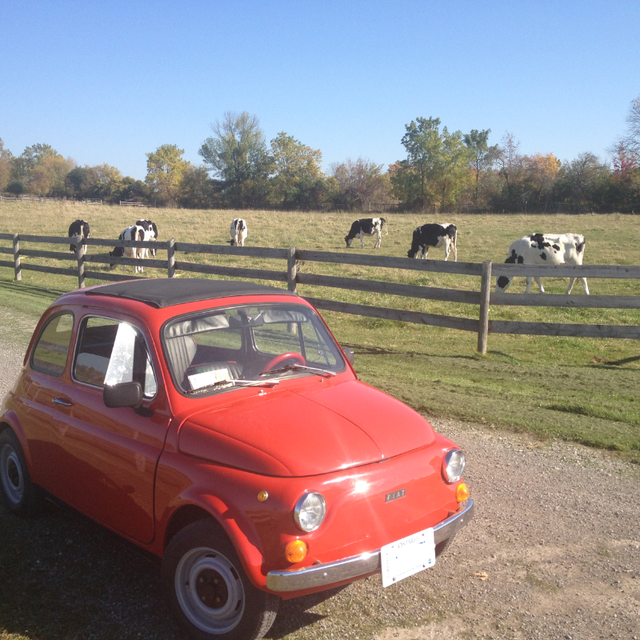 1966 Fiat 500 Fiat Topolino vintage classic car | Classic Cars ...