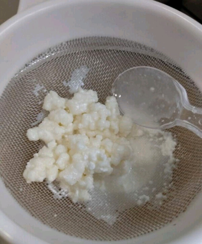 Organic Kefir Kephir Grain (Vaughan/Thornhill/North York) | Other ...