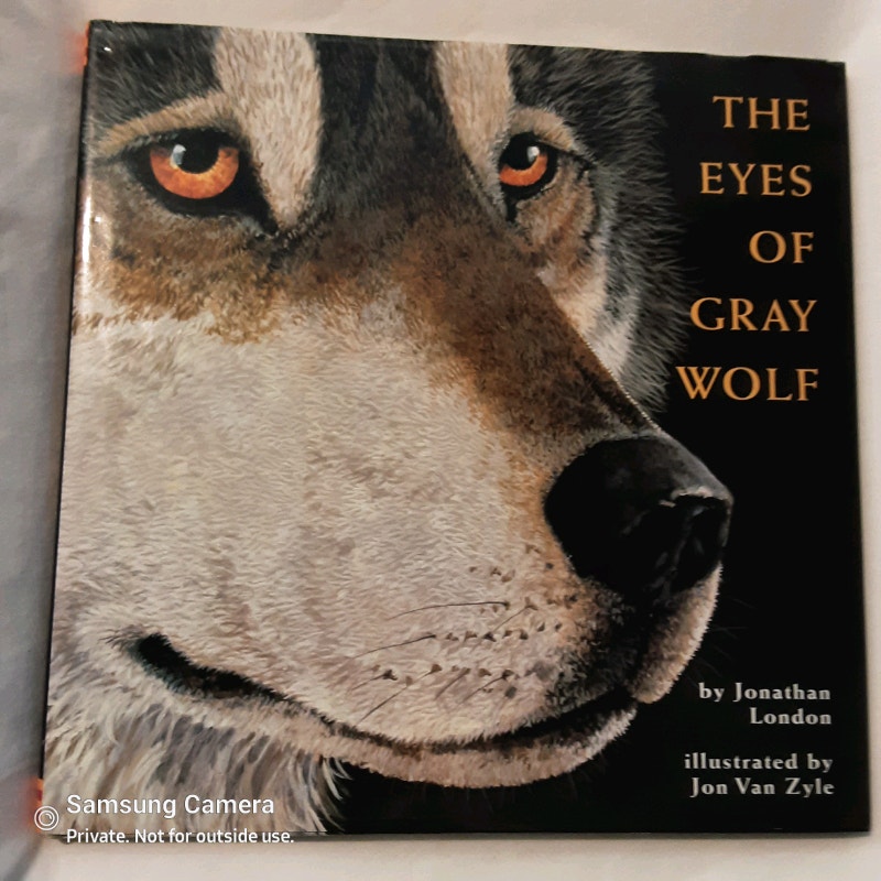 1993 The Eyes Of Grey Wolf, Signed Hardcover w/jacket | Fiction ...