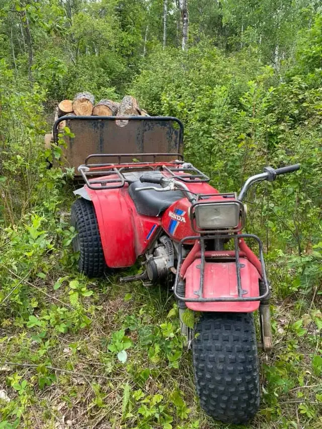 1984 Honda big red 200es | ATVs | Winnipeg | Free local classifieds ...
