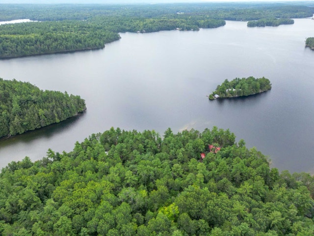 Rare Waterfront Gem on Big Pine Island, Lake Panache | Land for Sale ...