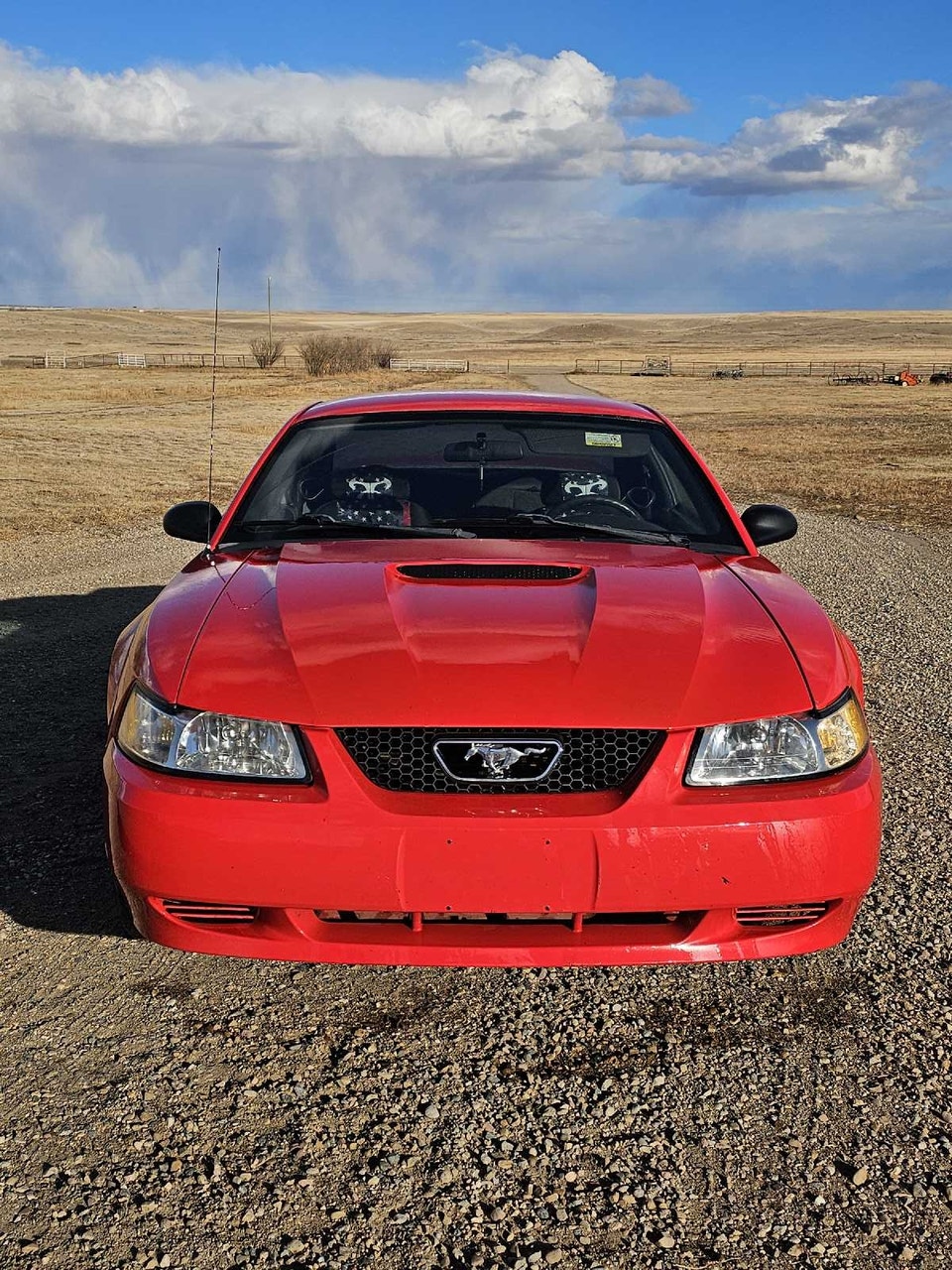 2000 Ford Mustang | Classic Cars | Medicine Hat | Free local ...
