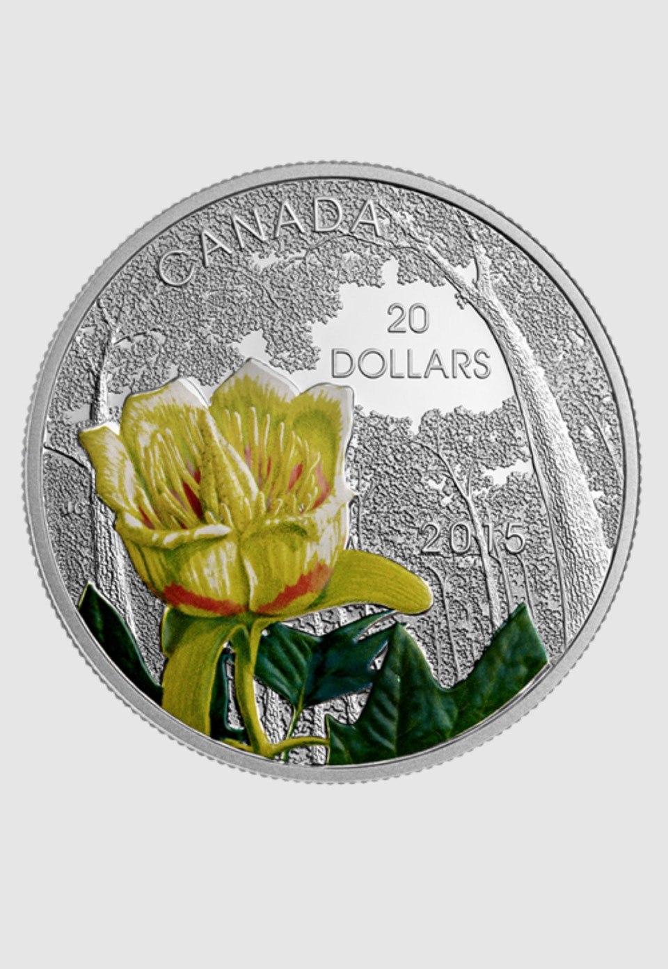 1 oz. Fine Silver Coin - Forests of Canada: Carolinian TulipTree | Arts ...
