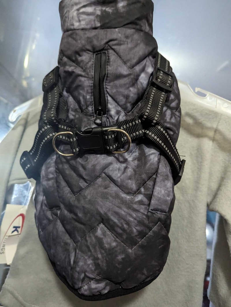 A new doggy jacket. It's got velcro on it. It's got an opening | Other ...