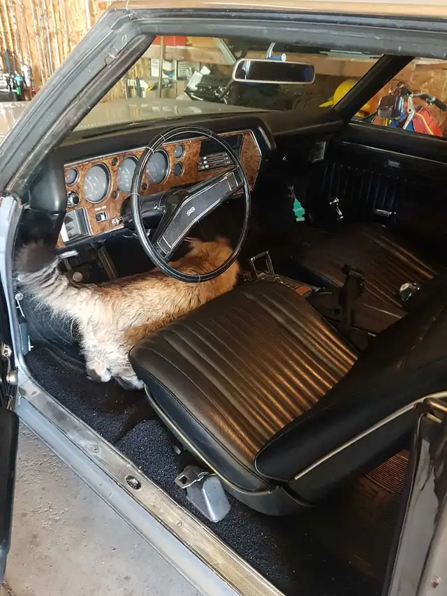 1970 Chevrolet Monte Carlo SS | Classic Cars | St. Catharines | Free ...