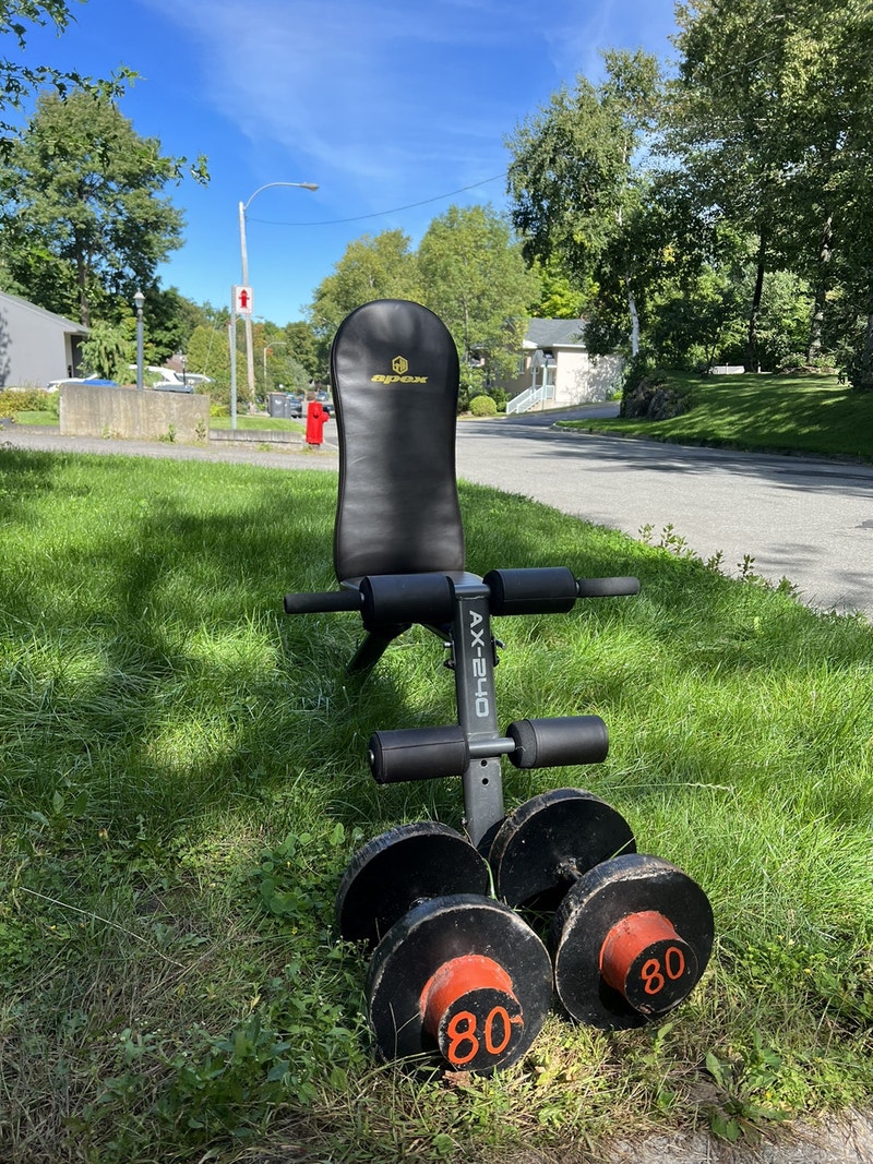 Banc de musculation avec dumbbells 80lb. Poids haltère bench ...