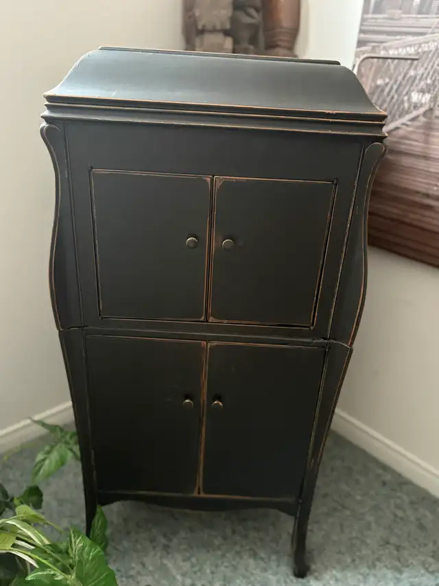 Victrola VINTAGE RECORD PLAYER with modern twist, $200 | Arts ...