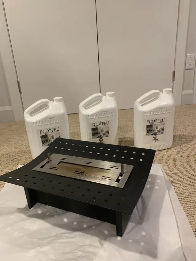 Foyer (insertion mobile)!! Avec 3 gallons de bioéthanol! | Fireplace ...