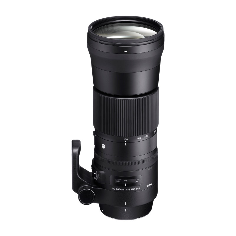 Sigma Sport 60-600mm f/4.5-6.3 DG OS HSM pour Nikon F | Appareils photo ...