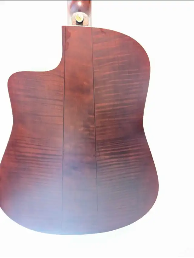 Seagull cutaway electric acoustic guitar | Guitars | St. Catharines ...